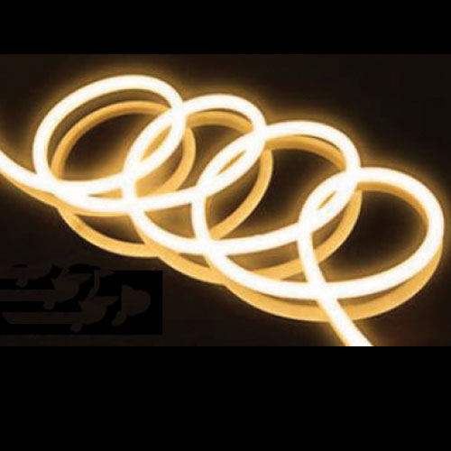 Neon Flex | González Transformación