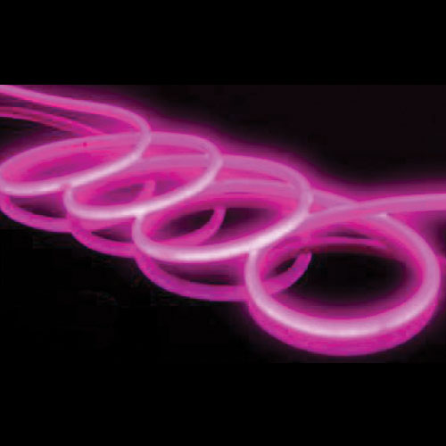 Neon Flex | González Transformación